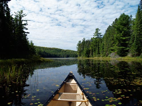Mark's Algonquin Park Sampler - Triplog#49 - Access#17 - Shall Lake - Day 2