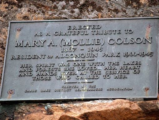 Trip-log#51 - Day 4 - The paddle out