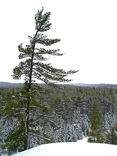 Trip-log#55 - Day 3 - Quick trip to Two Rivers Trail