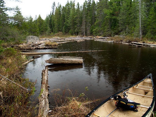 Trip-log#57 - Day 7 - Return to Raven Creek